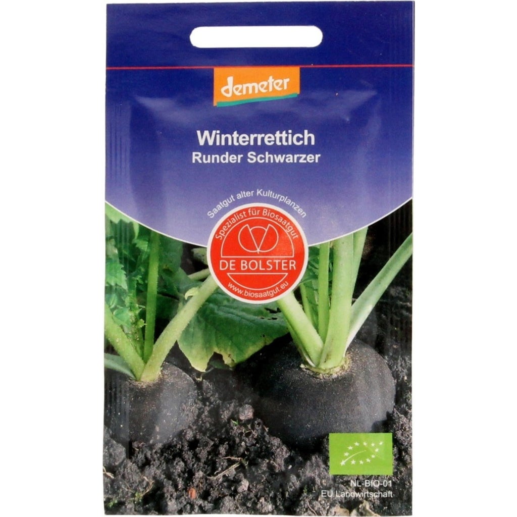 De Bolster Winterrettich "Runder Schwarzer", 8 g - Bloomling Deutschland