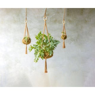 Bestel Esscher Design tuinproducten online - Bloomling Nederland