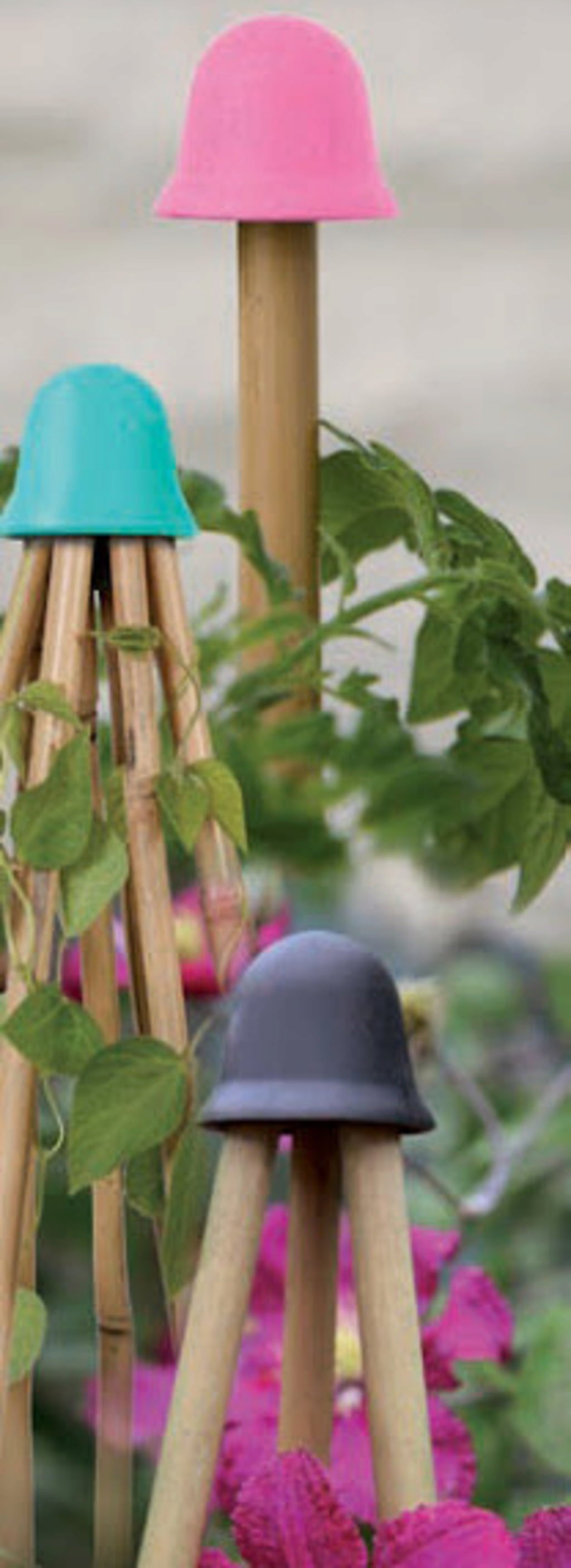 Haxnicks Cane Toppers - Bloomling International