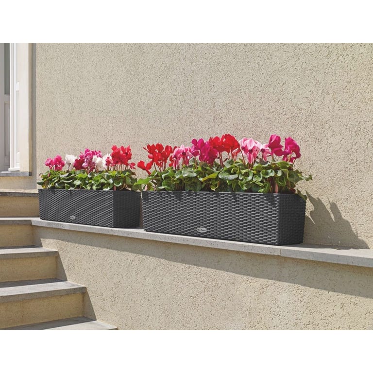 Lechuza Hrantík BALCONERA Cottage 80 - Internetový obchod Bloomling