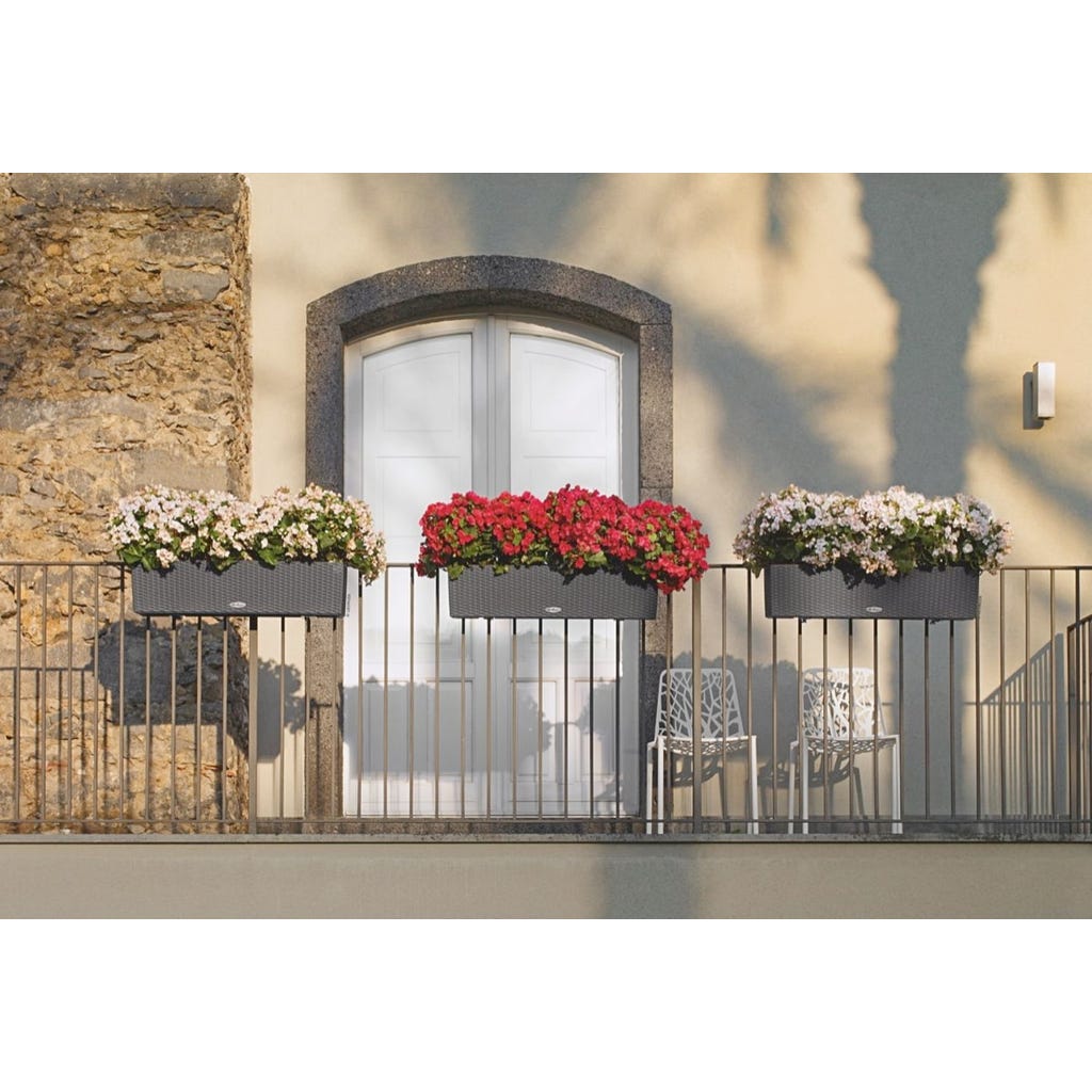 Lechuza Hrantík BALCONERA Cottage 80 - Internetový obchod Bloomling