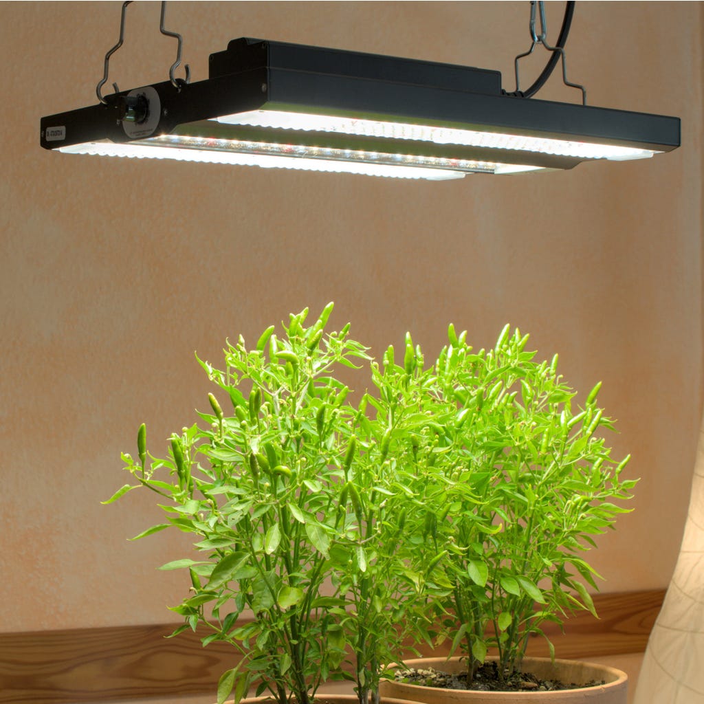 Neusius Lampe Horticole Floris "Grow" 150 W - Bloomling Suisse