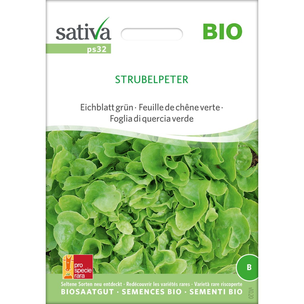 Sativa Bio Eichblatt grün "Strubelpeter", 1 Packung - Bloomling Deutschland