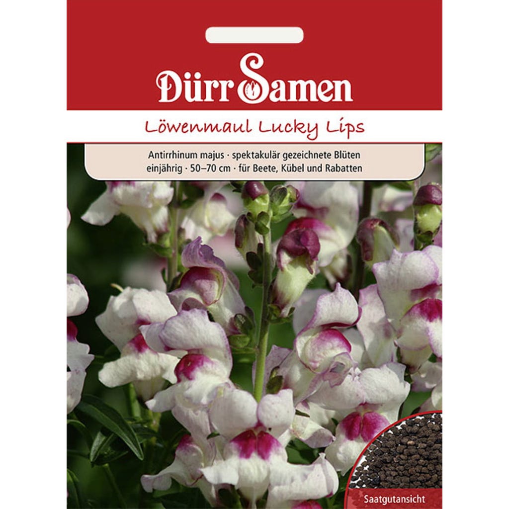 Dürr Samen Odolin Lucky Lips, 1 pkt - Bloomling spletna trgovina