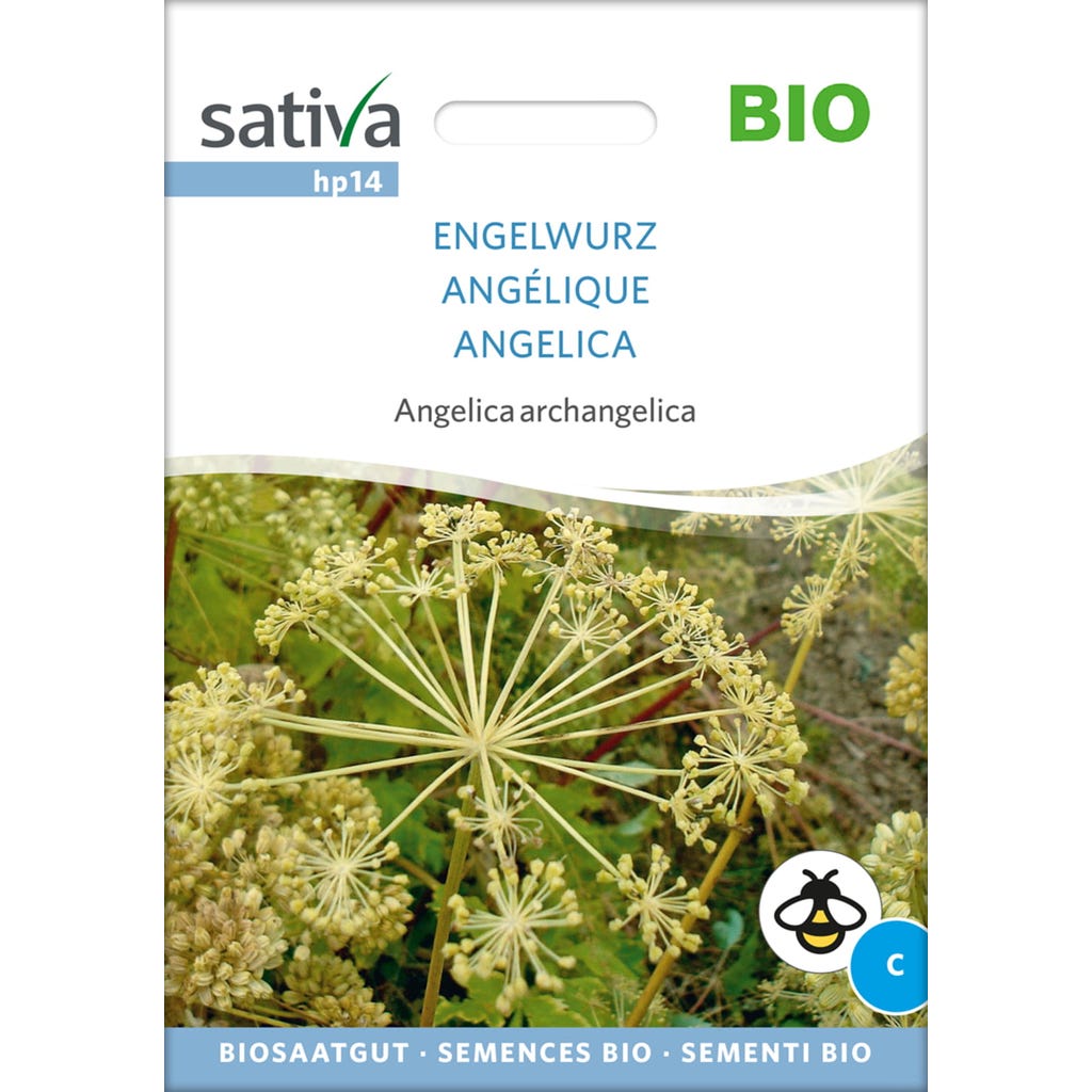 Sativa Bio angelika, 1 pkt - Bloomling spletna trgovina