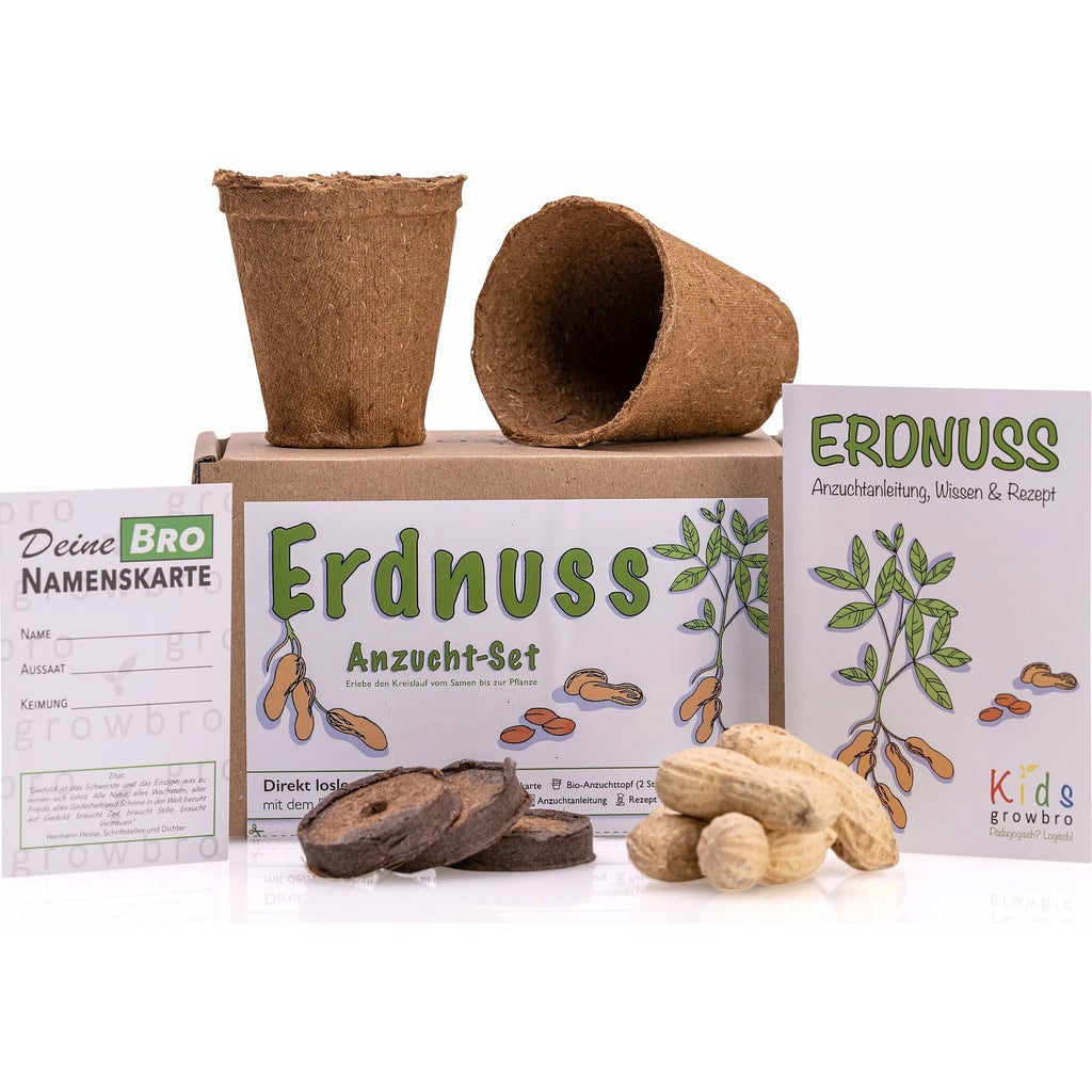 growbro Erdnuss "Kids" Anzucht-Set, 1 Set - Bloomling Deutschland