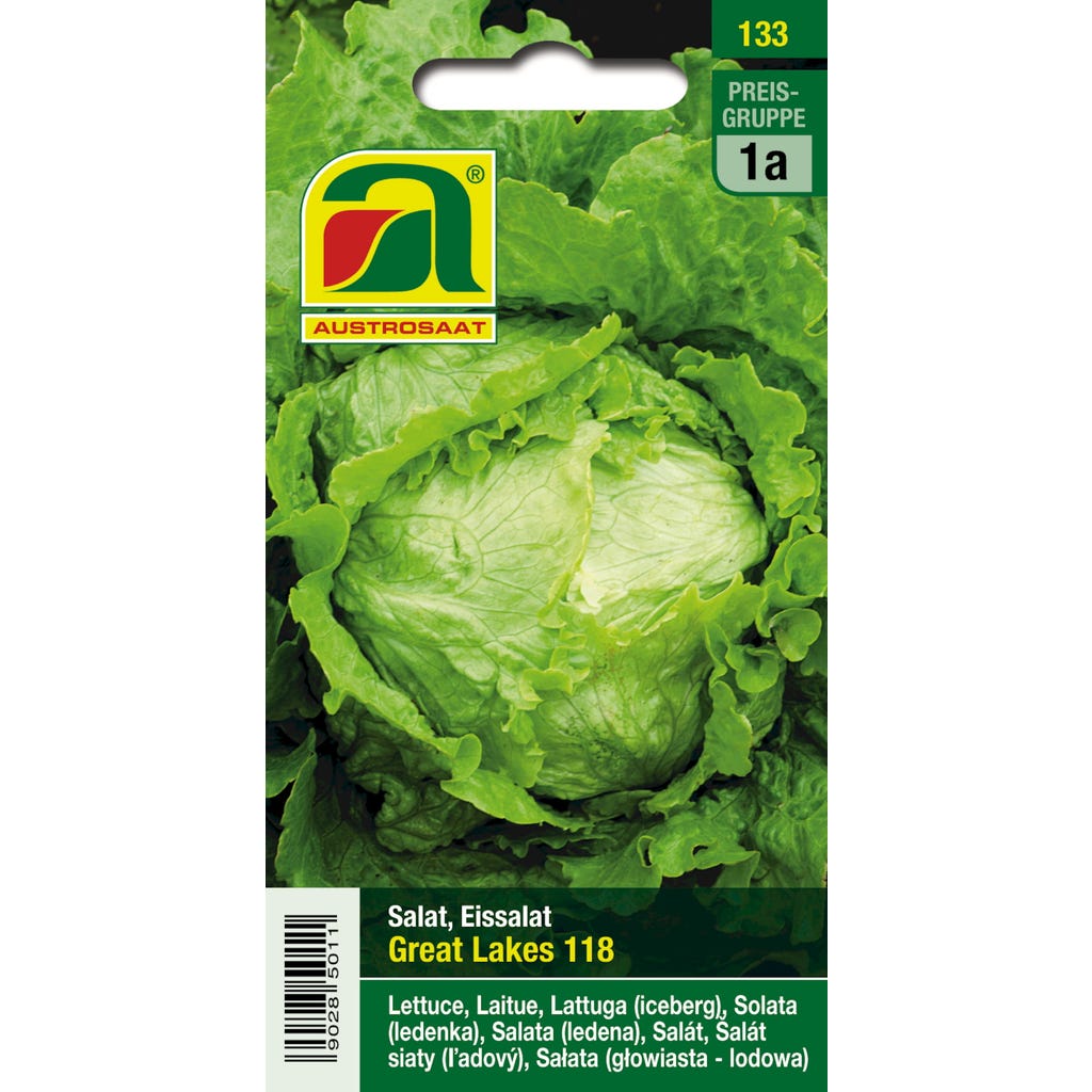 AUSTROSAAT Ledenka "Great Lakes 118", 1 pkt - Bloomling spletna trgovina