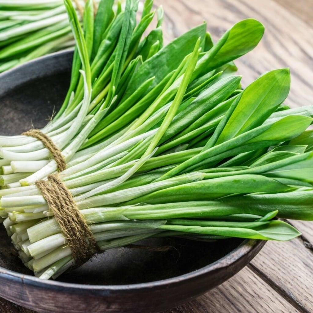 Own Grown Wildkräuter-Samen 12er Set, 1 Set - Bloomling Österreich