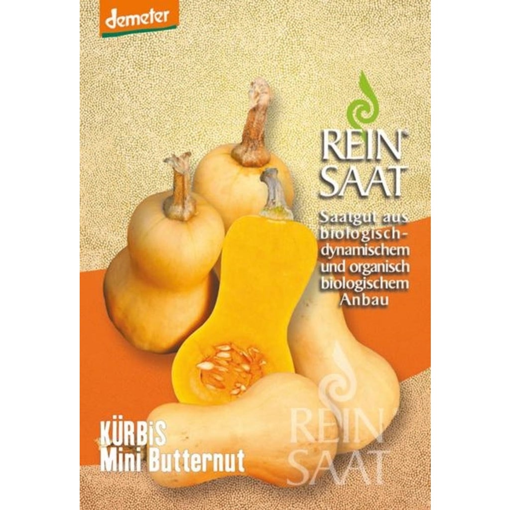 ReinSaat Pompoen "Mini Butternut", 1 Verpakking - Bloomling Nederland