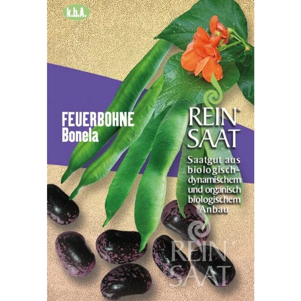 ReinSaat Pronkboon - Bonela, 1 Verpakking - Bloomling Nederland