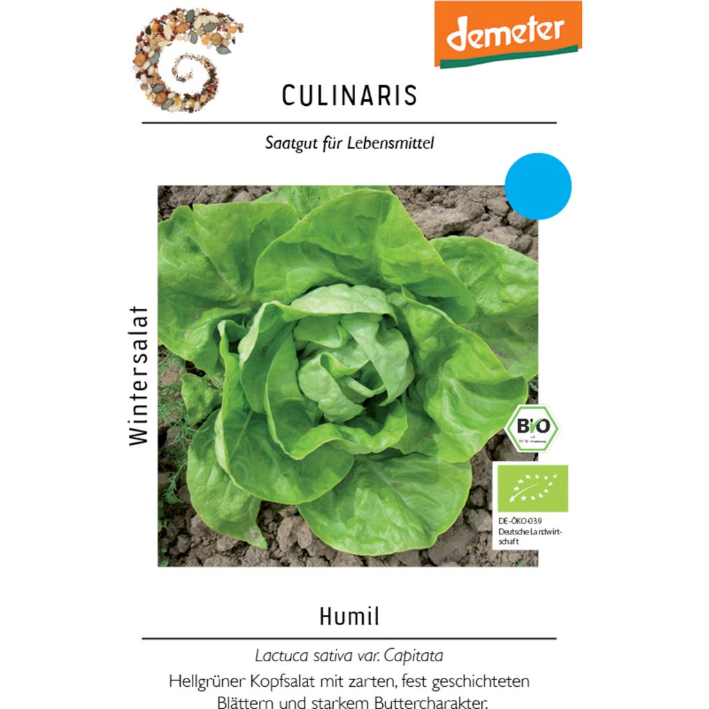 Culinaris Humil Bio téli saláta, 1 csomag - Bloomling Online Shop
