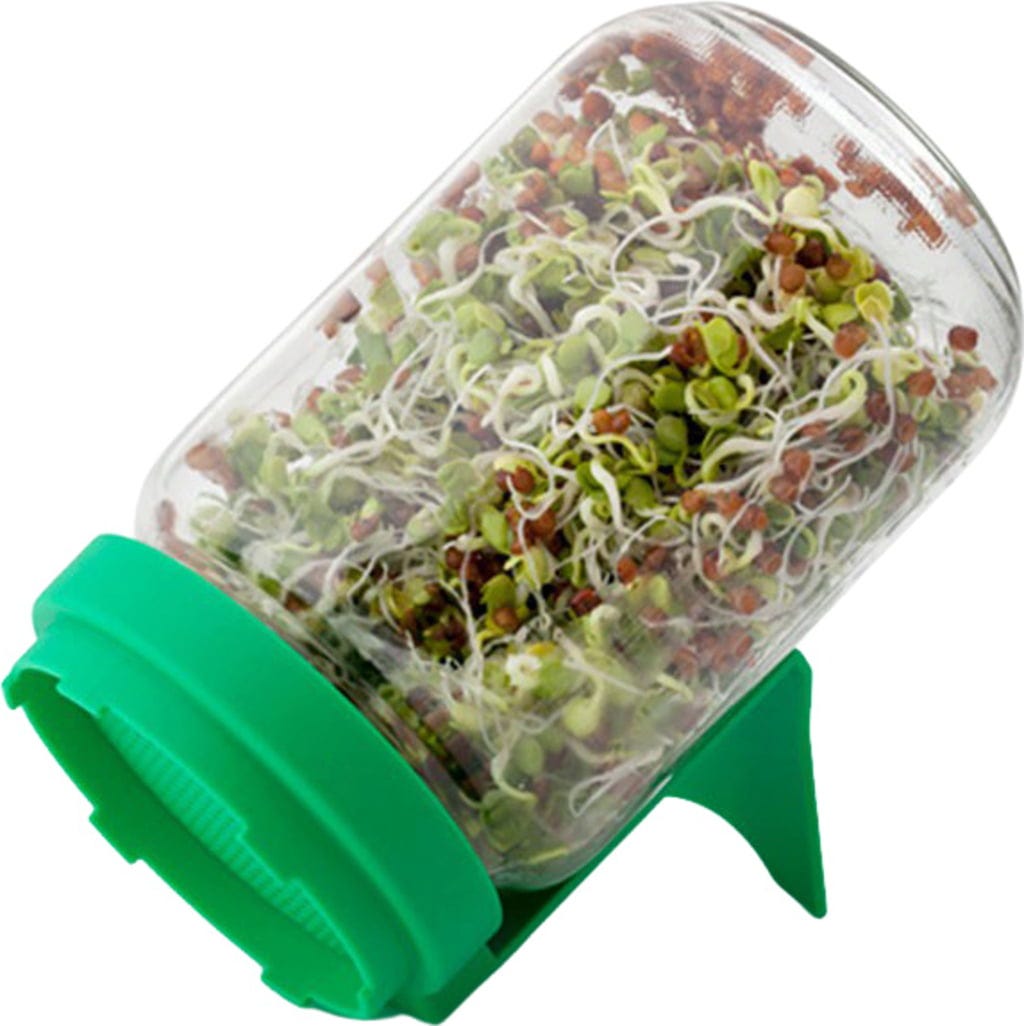 Dürr Samen Kozarec za kaljenje - Bloomling spletna trgovina