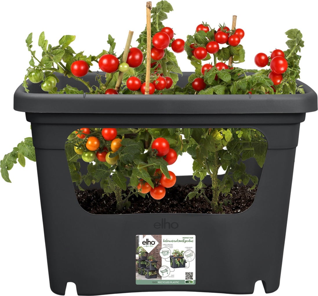 elho green basics Stack & Grow large - Bloomling - produkty dla Twojego ogrodu