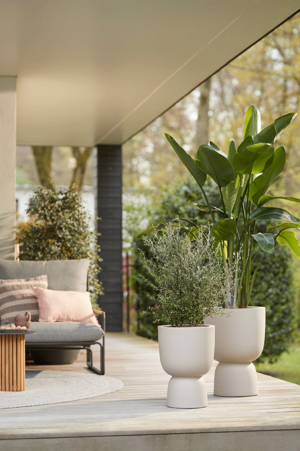 elho pure coupe 35 cm - Bloomling Deutschland