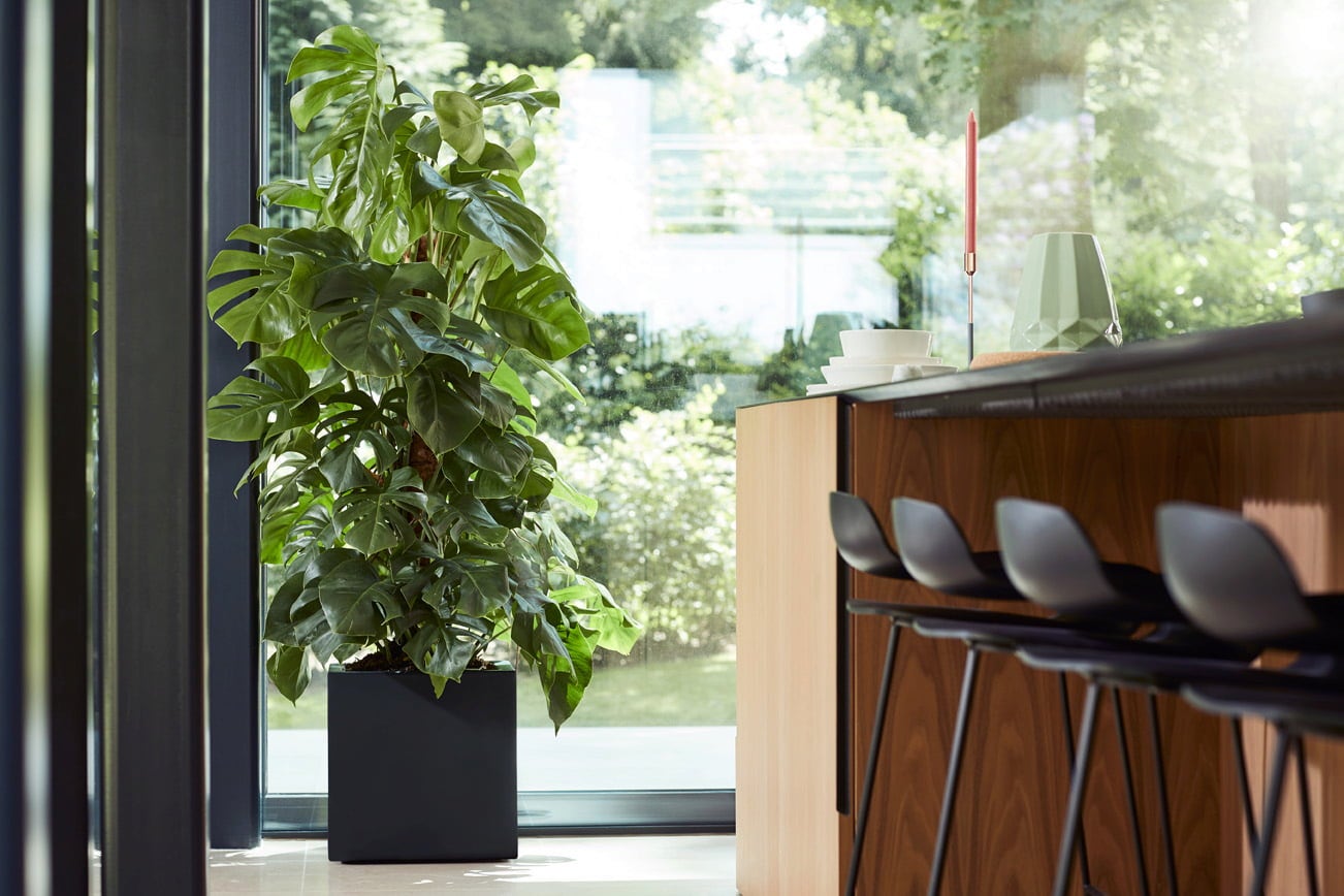 3 Erfahrungsberichte auf www.bloomling.de online abrufbar - vivo matt ...