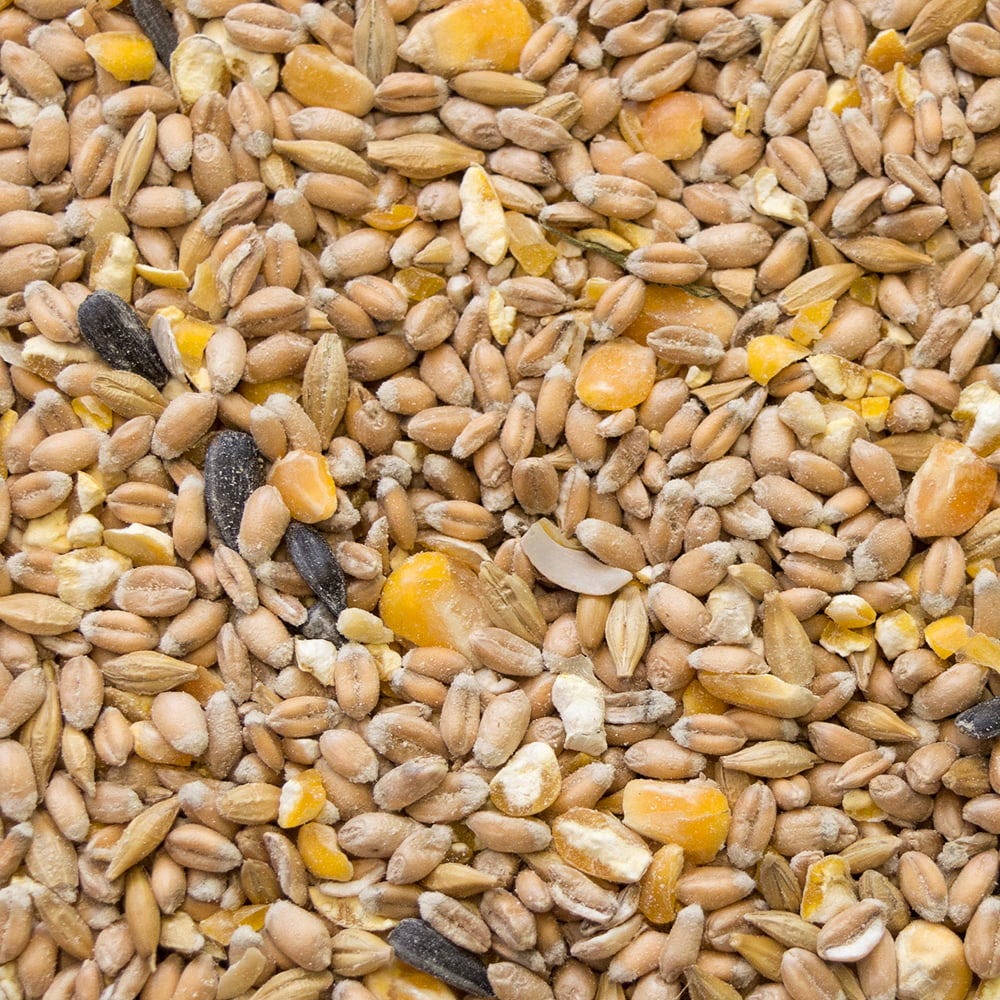 My Little Farm Bio zrno pre sliepky - Internetový obchod Bloomling